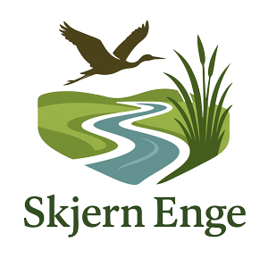 Skjern Enge - Skjern Enge